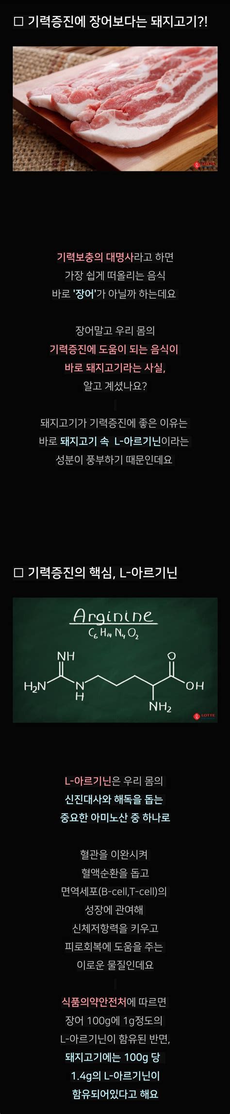 우리가 돼지고기를 먹어야하는 이유 볼텍스 게이밍