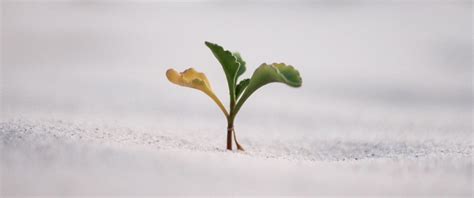 Minifying Your Css Js And Html Files Using Gulp By Amardeep Rai Devux Medium