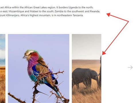 how to build a responsive slider with swiper js idevie