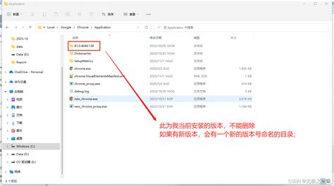Selenium 解决chrome浏览器自动升级问题selenium自动更新 Csdn博客