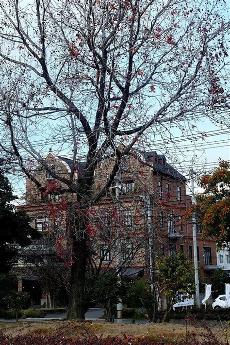 樹 ヤマセンの気まま日記