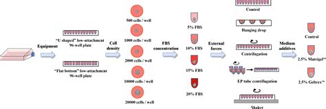 Multi Omics Analysis Defines 5 Fluorouracil Drug Resistance In 3d Hela Carcinoma Cell Model