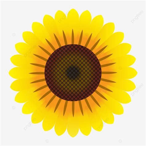 해바라기 벡터 일러스트 레이 션 꽃 해바라기 만화 Png 일러스트 및 벡터 에 대한 무료 다운로드 Pngtree