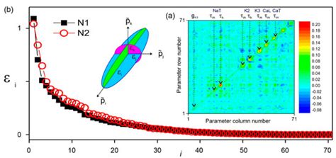Algorithms Special Issue Algorithms For Biological Network Modelling