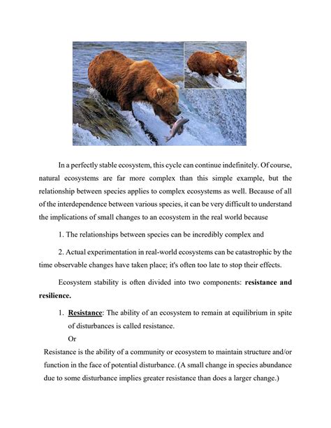 Solution Ecosystem Stability 1 Studypool