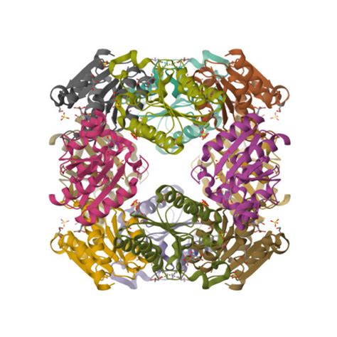 Rcsb Pdb 1h0s 3 Dehydroquinate Dehydratase From Mycobacterium Tuberculosis In Complex With 3