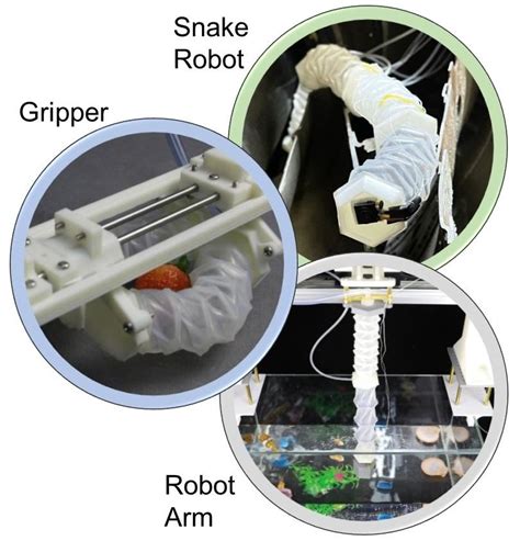 Researchers Make Progress In Field Of Pneumatic Drive Soft Twisting
