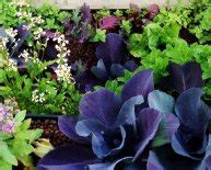 Closed Loop Systems Examples Control Systems