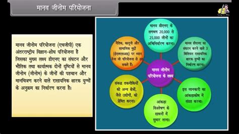 Genetic Inheritance A Closer Look At The Molecular Level Part 3 In