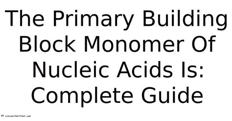 The Primary Building Block Monomer Of Nucleic Acids Is Complete Guide