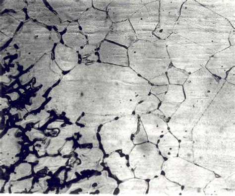 Intergranular Corrosion 1 3