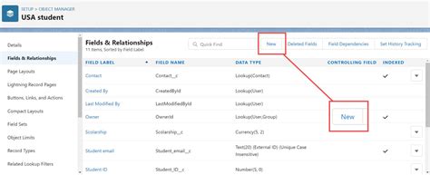 Salesforce Percentage Field