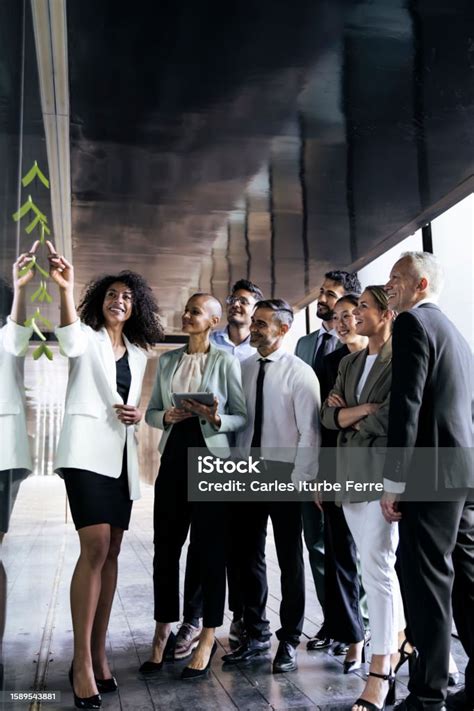 사무실 복도에 서서 회의를 하고 있는 다인종 사업가들 젊은 여성 임원이 다양한 동료들과 캐주얼한 회의에서 설명하고 이야기한다 다민족 그룹에 대한 스톡 사진 및 기타 이미지