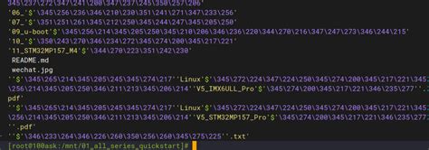 Windterm 中文出现乱码 如下所示 嵌入式开发问答社区