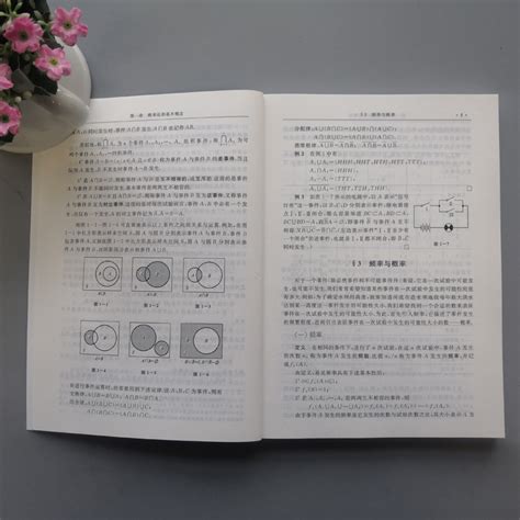 现货包邮概率论与数理统计第四版第4版简明本浙江大学盛骤谢式千高等学校教材高等教育出版社 虎窝淘