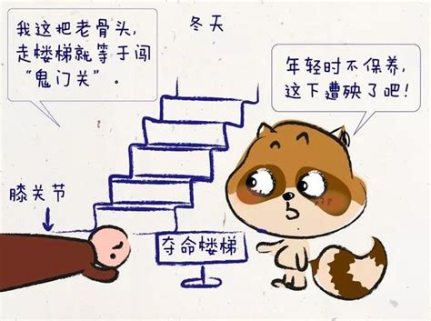 「健康」膝關節磨損不可逆！6招教你且行且珍「膝」 每日頭條