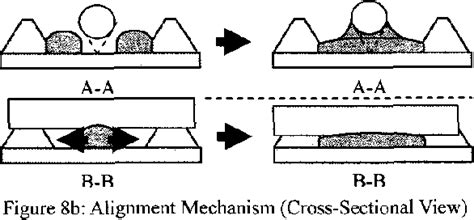 Figure From Experimental Assessment Of Passive Alignment Of Optical Fibers With V Grooves On