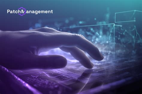 What Is Vulnerability Management Everything You Need To Know Patch Management