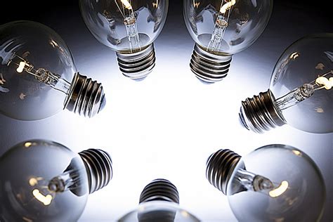 내부에 나무가 있는 친환경 에너지 전구 에너지 절약 그림 배경 일러스트 및 사진 무료 다운로드 Pngtree