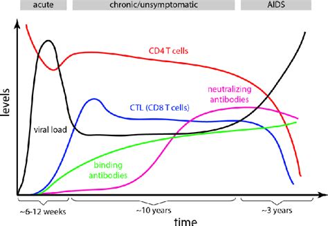 Figure 29 From Effects Of Complement Opsonization Of Hiv On Dendritic Cells And Implications