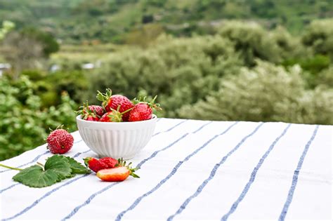 신선한 붉은 잘 익은 유기농 바이오 딸기가 식탁보가 있는 식탁에 담긴 그릇에 담습니다 봄 또는 여름 수확 건강한 식생활 비타민 딸기에 대한 스톡 사진 및 기타 이미지