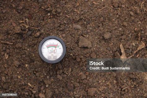 토양 산도를 감지하는 Ph 측정기의 평면도 칼슘을 감지하는 토양 테스트 키트 스마트 농업 농업 40을 위한 정밀 농업 개념 흙에 대한 스톡 사진 및 기타 이미지 Istock
