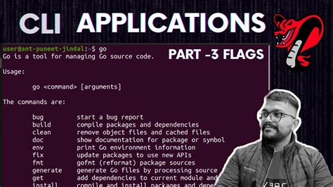 Advanced Golang Cli App With Cobra Personalized Custom Flags Tutorial