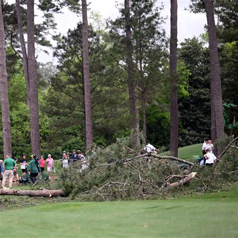 Tree Fell At The Masters Crystal S Mills