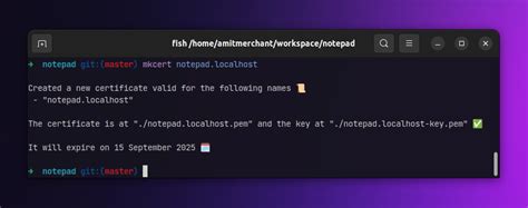 Local Websites With Custom Domains And Using Caddy Server — Amit