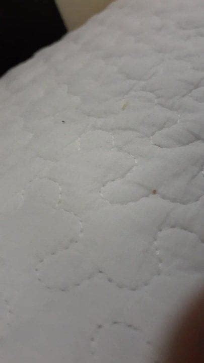 내 아내 xHamster