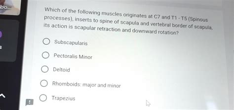 Solved Which Of The Following Muscles Originates At C7 ﻿and