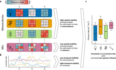 Schematic Depiction Of The Proposed Conceptual Framework Of How