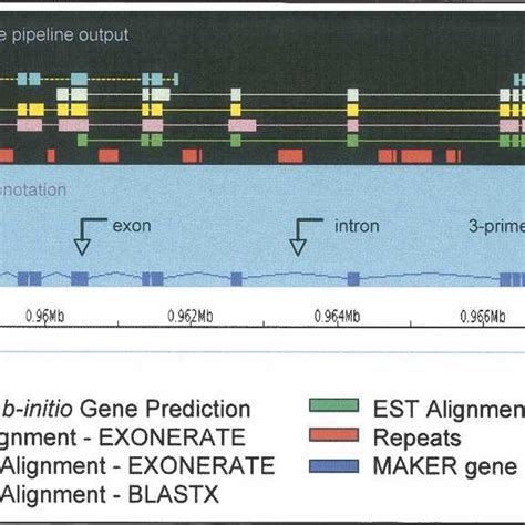Pdf Maker An Easy To Use Annotation Pipeline Designed For Emerging Model Organism Genomes