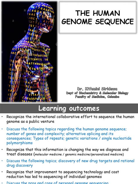 Human Genome Sequence Pdf Human Genome Genome