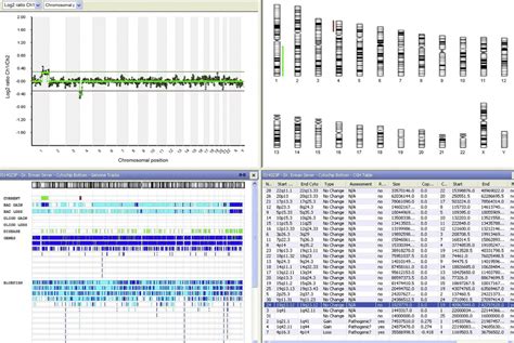 Outcome Of Choromosomal Copy Number Variation Analysis By Bluefuse Download Scientific Diagram