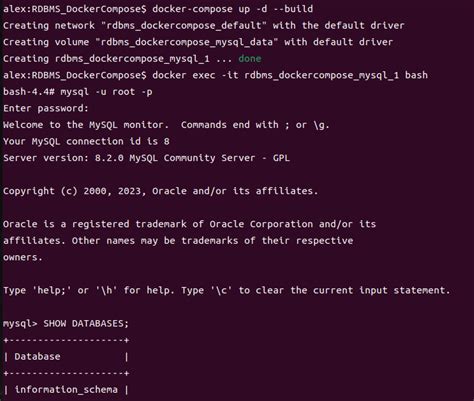 Docker Compose yaml파일을 이용하여 MySQL를 Local로 구축하기 Database Table 자동생성
