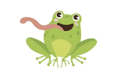 Cute Frog Cartoon Character Vector Illus Graphic By Pchvector