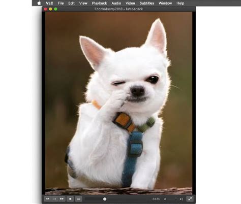 How To Play MP4 On Mac 4 Effective Methods