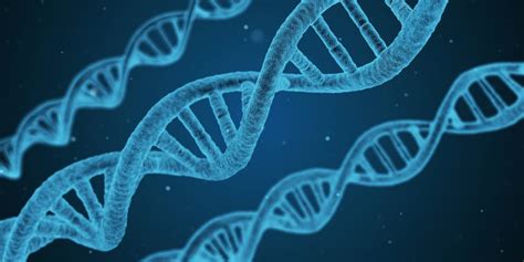 What Is The Process For Dna Testing Endeavor Dna Laboratories