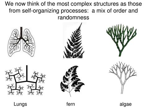 Ppt Measuring Complexity Powerpoint Presentation Free Download Id