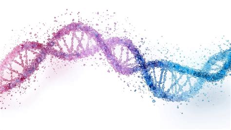 新研究揭示了新一代dna测序 Ngs 技术的缺陷