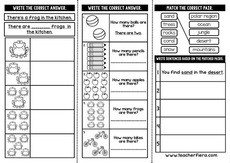 Year 2 Unit 6 Brochure