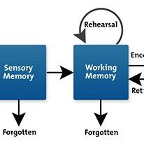 Illustration Of Cognitive Memory Model Download Scientific Diagram