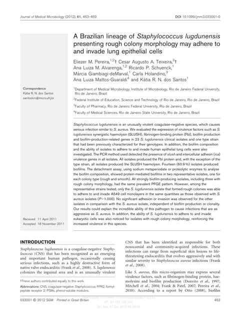 Pdf A Brazilian Lineage Of Staphylococcus Lugdunensis Presenting Rough Colony Morphology May