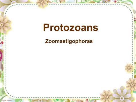 Classification Of Protozoa Ppt Biological Sciences Science