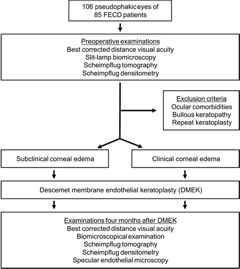 Preoperative Edema Severity Affects Outcomes After Descemet Membrane