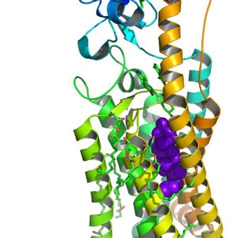 One Of Two Cholesterol Purple Binding Sites On Smoothened In X Ray