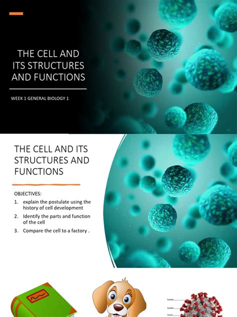 Week1 The Cell And Its Structures And Functions Pdf Cell Biology Cell Membrane