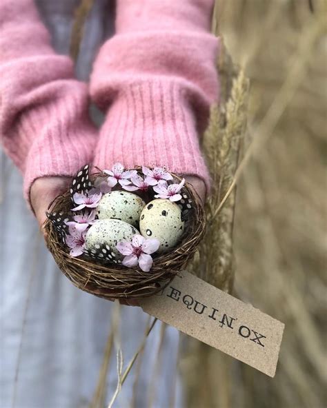 Cake And Moss On Instagram A Little Dicky Bird Told Me Its Officially The Start Of Spring
