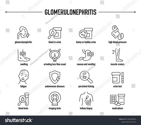 Glomerulonephritis Symptoms Diagnostic Treatment Vector Icon Stock